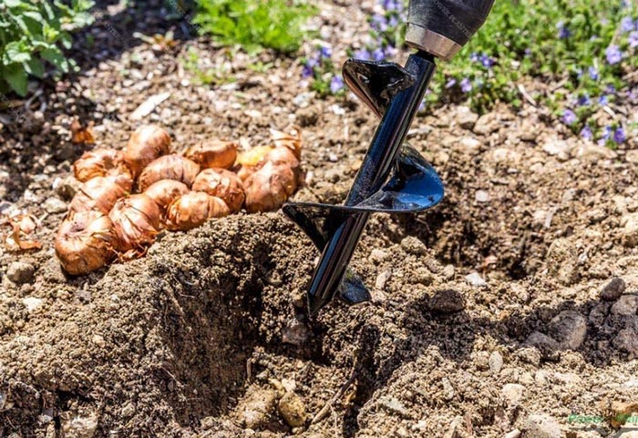 Adaptive Planting Techniques - Disability Work Consulting