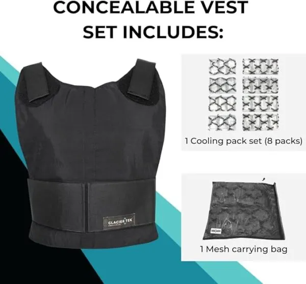 Ice Pack Cooling Vest - Product - Disability Work Consulting